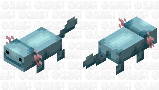 Wooper Axolotl Minecraft Mob Skin
