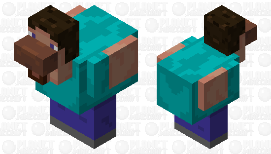 Steve Chicken Minecraft Mob Skin