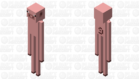 ENDER PIG Minecraft Mob Skin