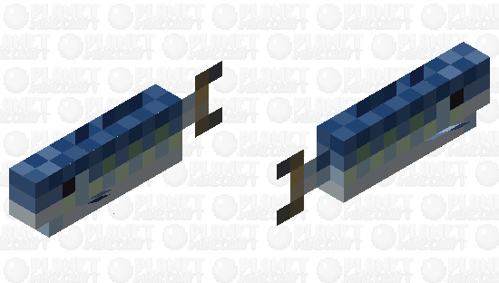 Slimy/Spotted Mackerel Minecraft Mob Skin