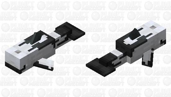 Beluga Whale Minecraft Mob Skin