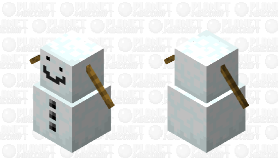The Headless snow golem Minecraft Mob Skin