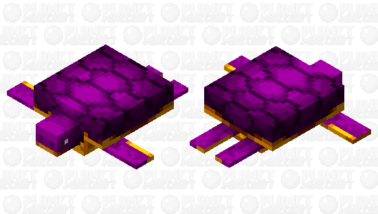 ~ Me As A Turtle // Photo Edit Mob Series ~ Minecraft Mob Skin