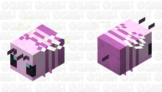 pink bee Minecraft Mob Skin