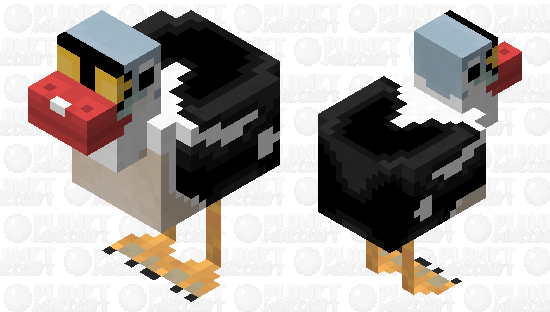 Male King Eider (Somateria spectabilis) Minecraft Mob Skin