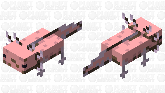 cherry blossom axolotl Minecraft Mob Skin