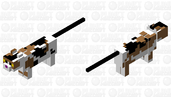 my cat named kitty Minecraft Mob Skin