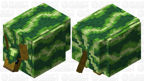 Armadillo Melon Minecraft Mob Skin
