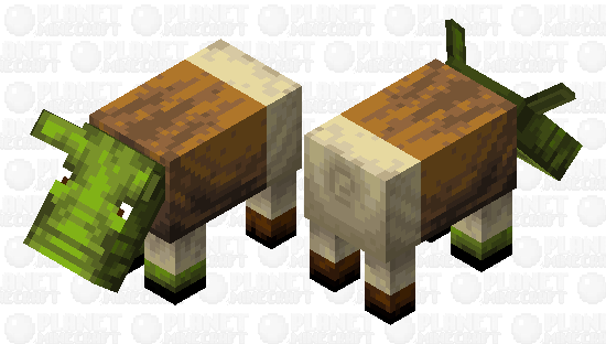 Shrek? Minecraft Mob Skin