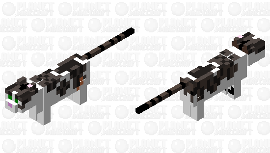 my stinky cat Minecraft Mob Skin