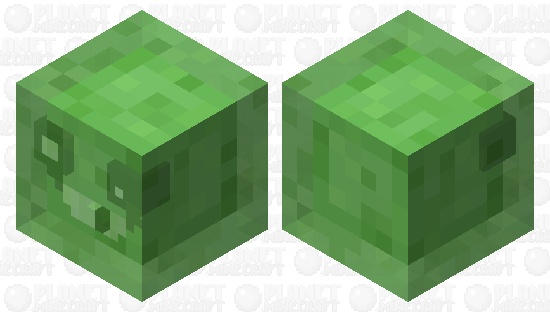 The real slime shady Minecraft Mob Skin