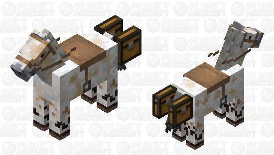 buckskin leopard appaloosa Minecraft Mob Skin