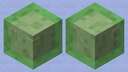 Slime with a brain Minecraft Mob Skin