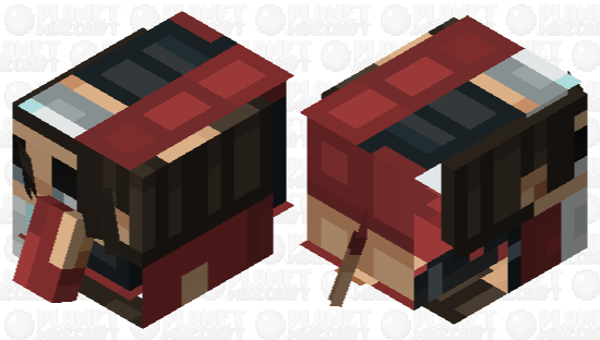 scary Minecraft Mob Skin