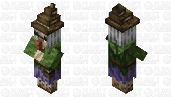 Swamp Witch Minecraft Mob Skin
