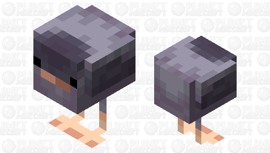cort (400 subcscubrbicr speshuall!!) Minecraft Mob Skin