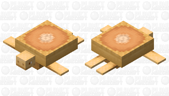 Pumpkin Pie - Turtle Minecraft Mob Skin