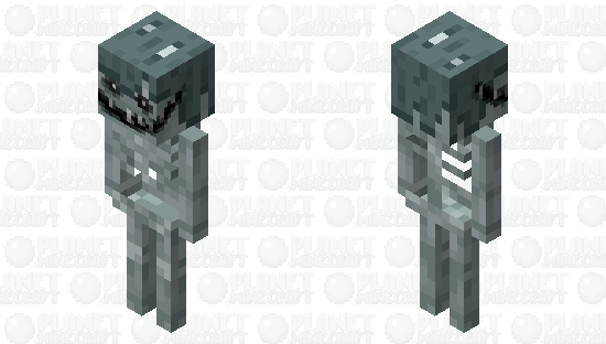 The Stray Who never stop Smiling Minecraft Mob Skin