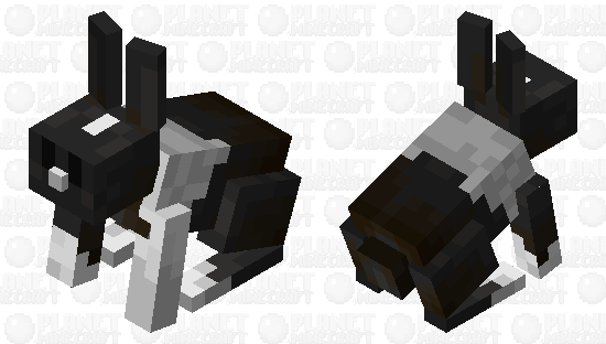 dutch rabbit Minecraft Mob Skin