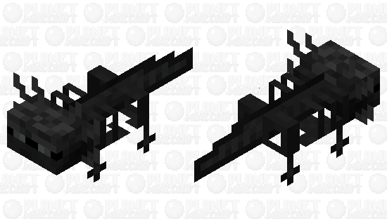 Wither Skelelotl (Wither Skeleton Axolotl) Minecraft Mob Skin