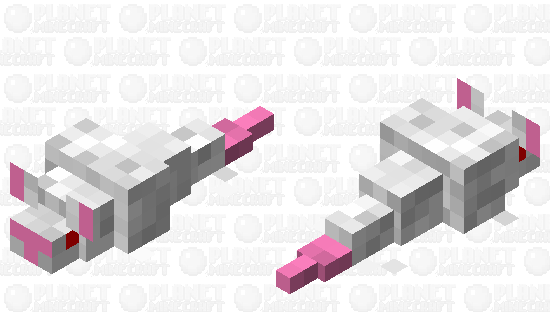 rat albino Minecraft Mob Skin