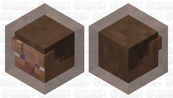 stime Minecraft Mob Skin