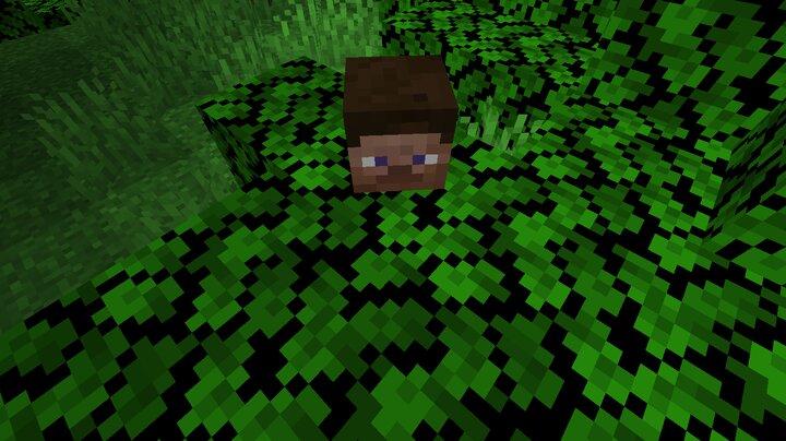 Steve Mod 1.14.4 Minecraft Mod