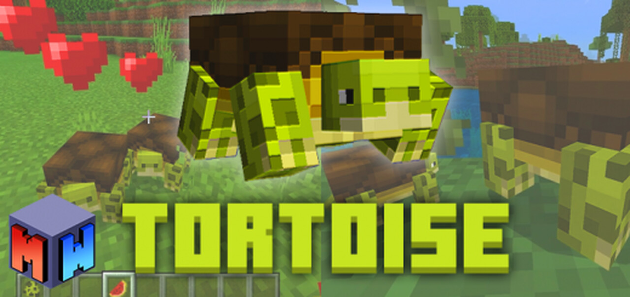 Tortoises Add-On (Bedrock) Minecraft Mod