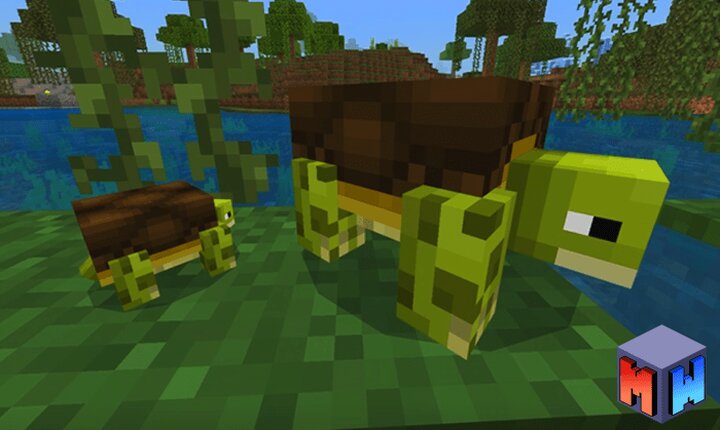 Tortoises Add-On (Bedrock) Minecraft Mod