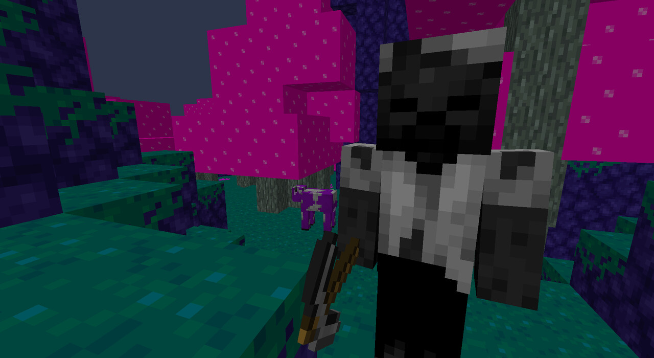 The Withered Lands Minecraft Mod