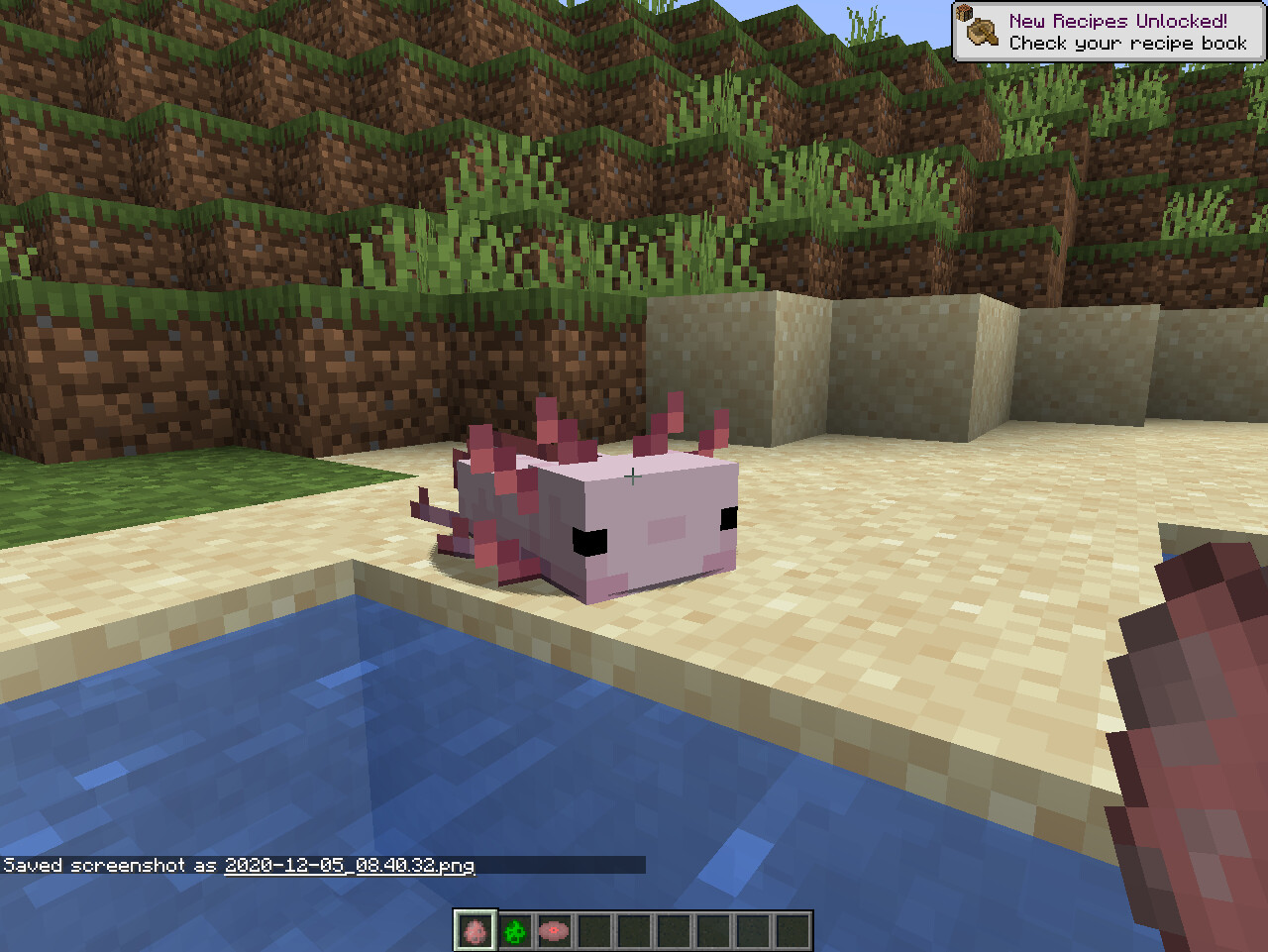 Misc additions beta! axolotls! Minecraft Mod