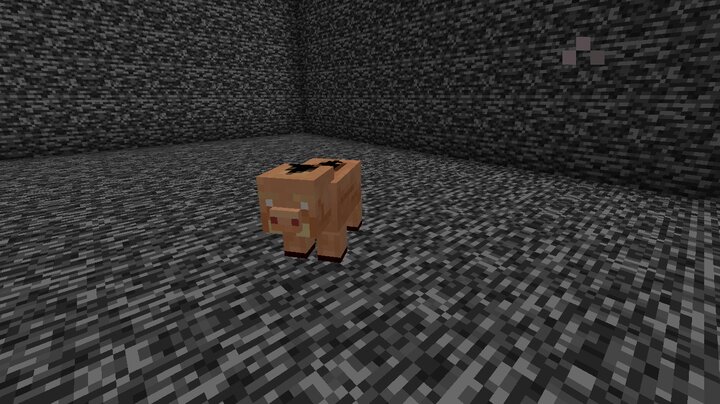 New Nether Update pre-release 2 (1.15.2) Minecraft Mod