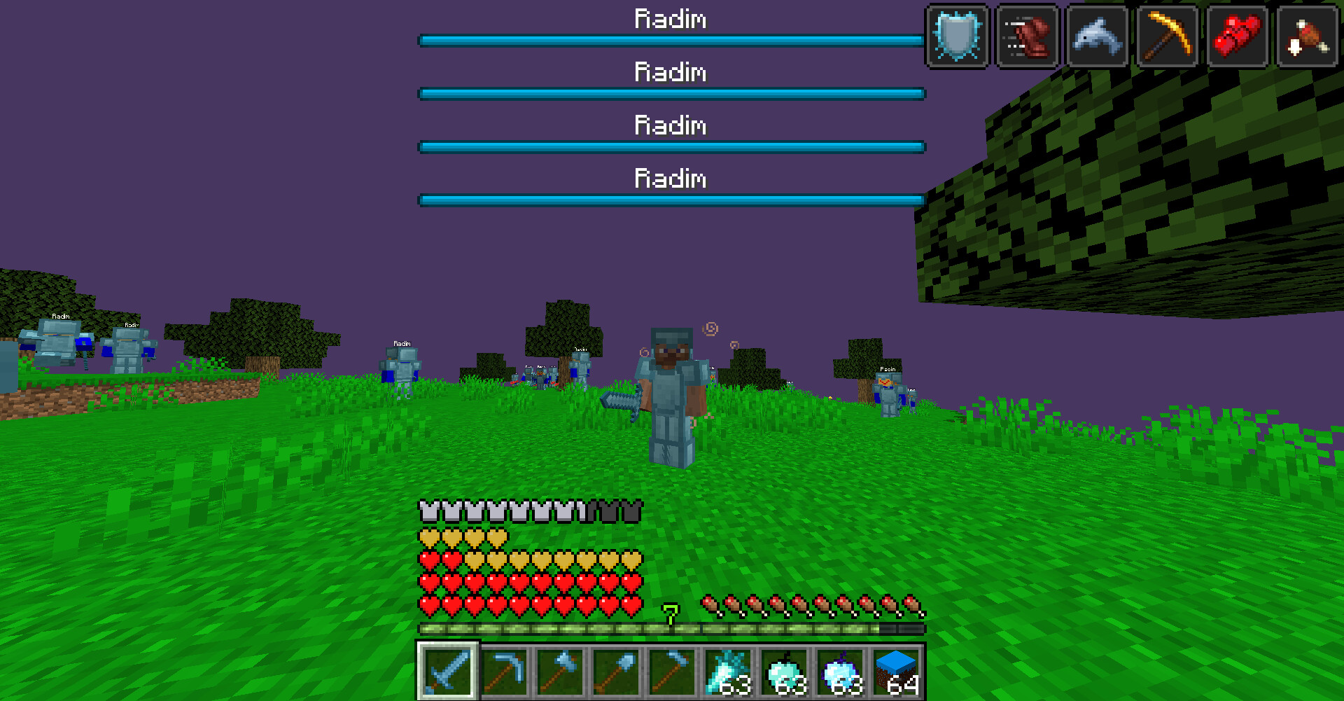 Minecraft Diamond Dimension CZ SNAPSHOT 1.0.9 for 1.16.x (better ...