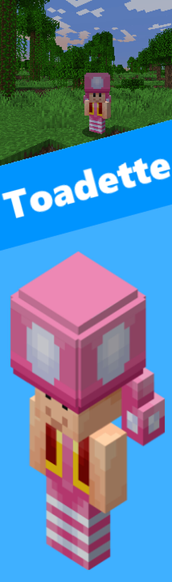 Minecraft Super Mario Toadette 3d Skin Java Supermario Minecraft Mod