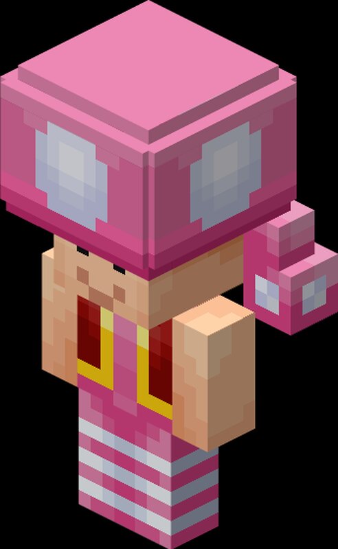 Minecraft Super Mario, Toadette (3D skin Java) #SuperMario Minecraft Mod