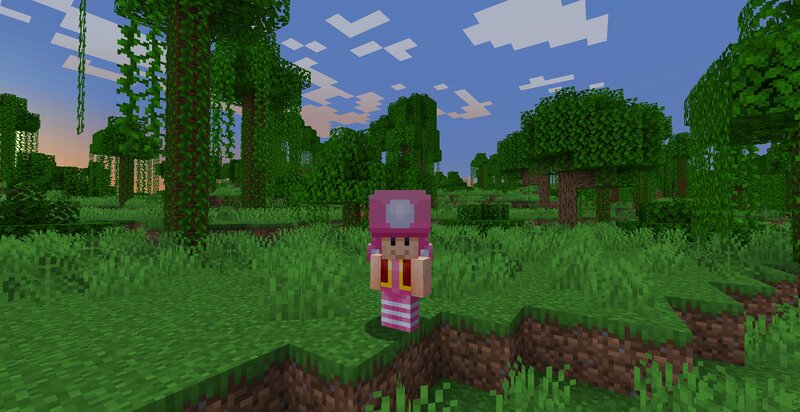 Minecraft Super Mario, Toadette (3D skin Java) #SuperMario Minecraft Mod