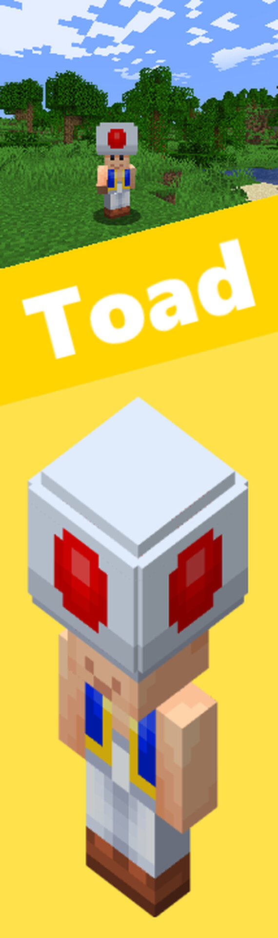 Minecraft Super Mario, Toad (3D skin Java) #SuperMario Minecraft Mod