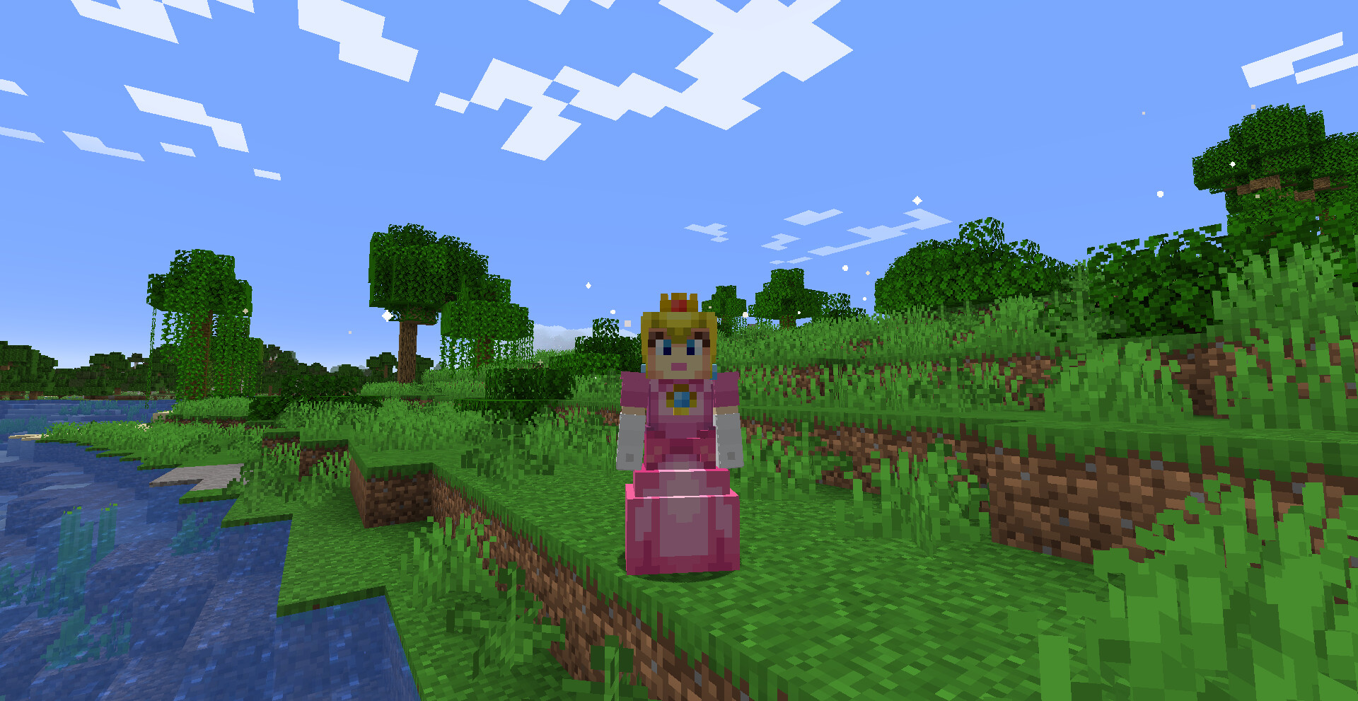 Minecraft Super Mario, Princess Peach (3D skin Java) #SuperMario ...