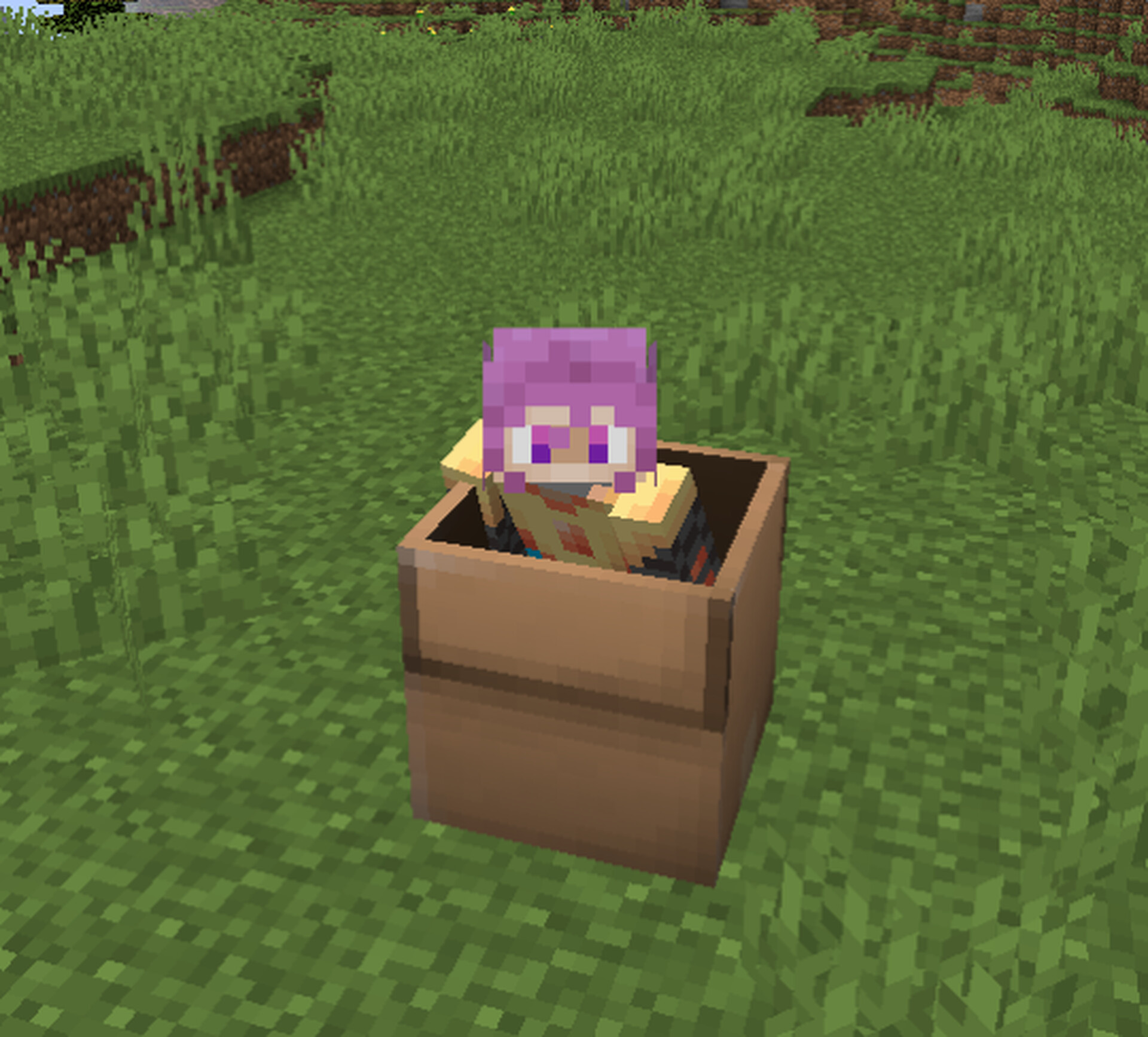 Cardboard Boxes! Minecraft Mod
