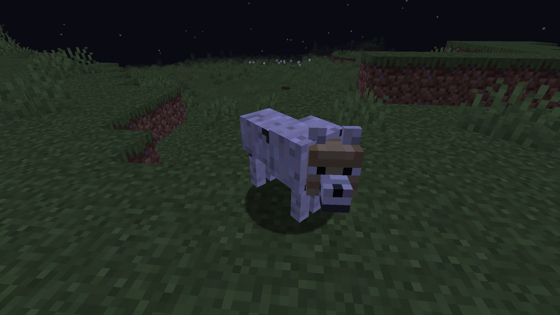 Much More Wolves Minecraft Mod