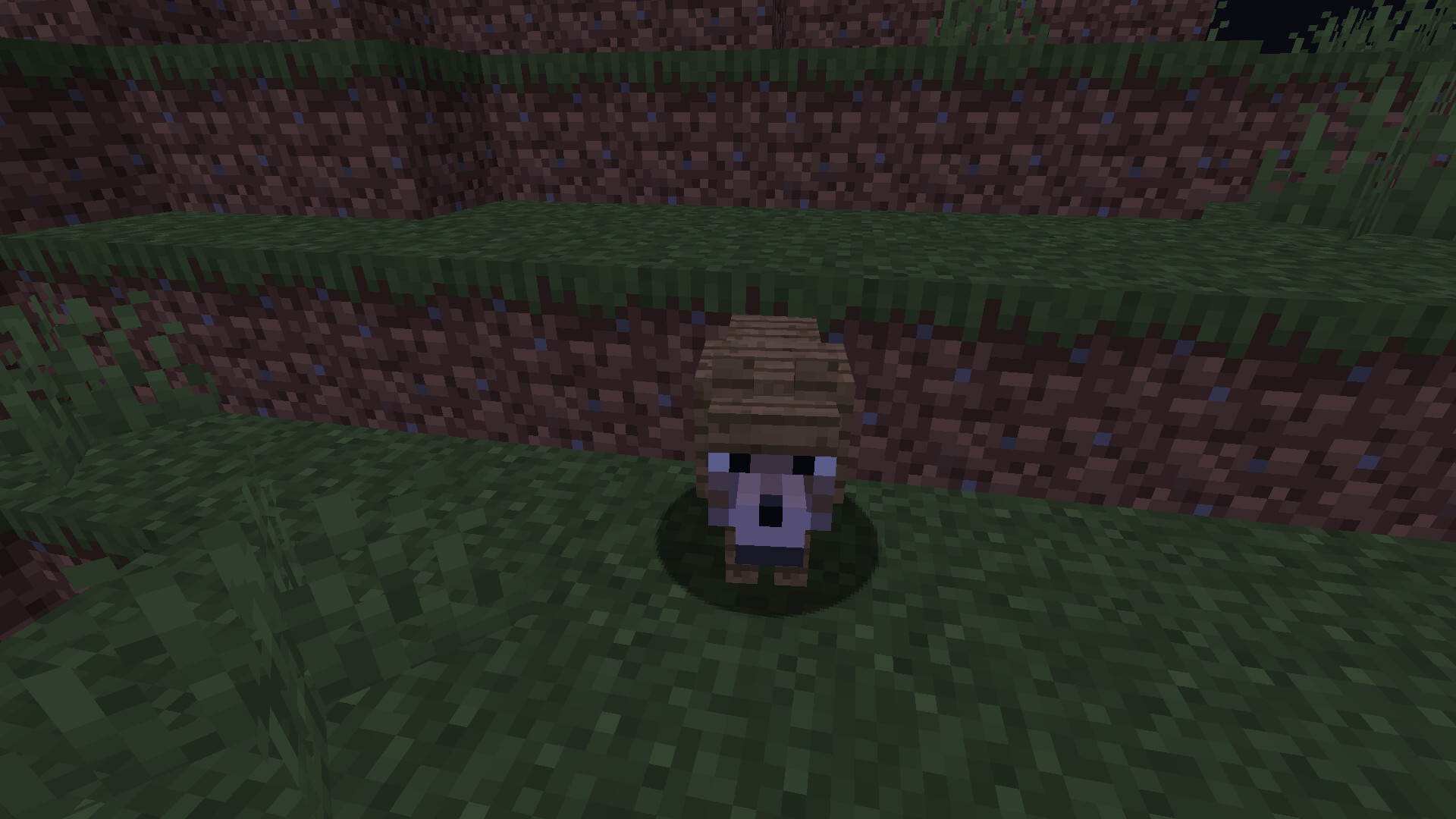 Much More Wolves Minecraft Mod