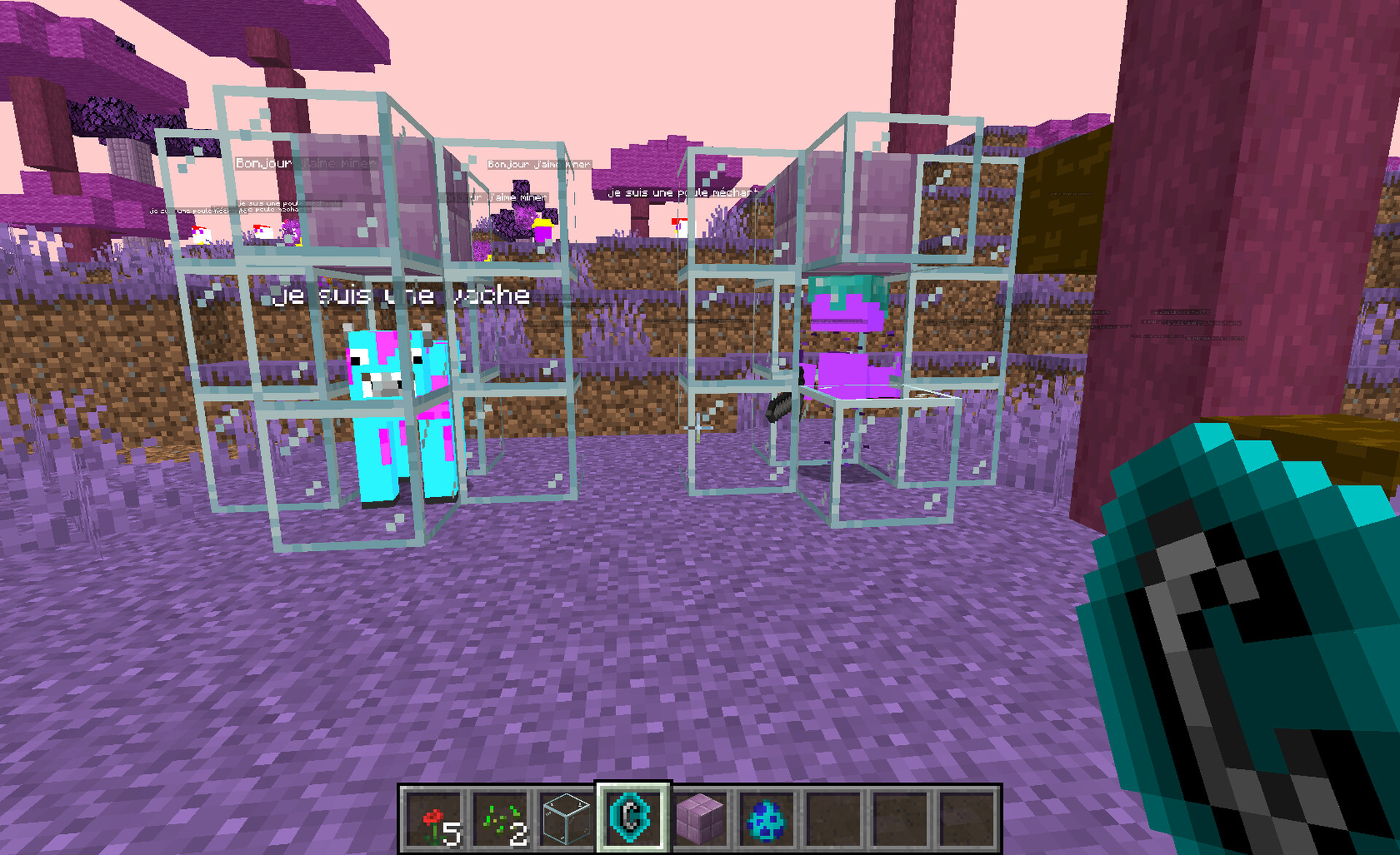 The purple land Minecraft Mod