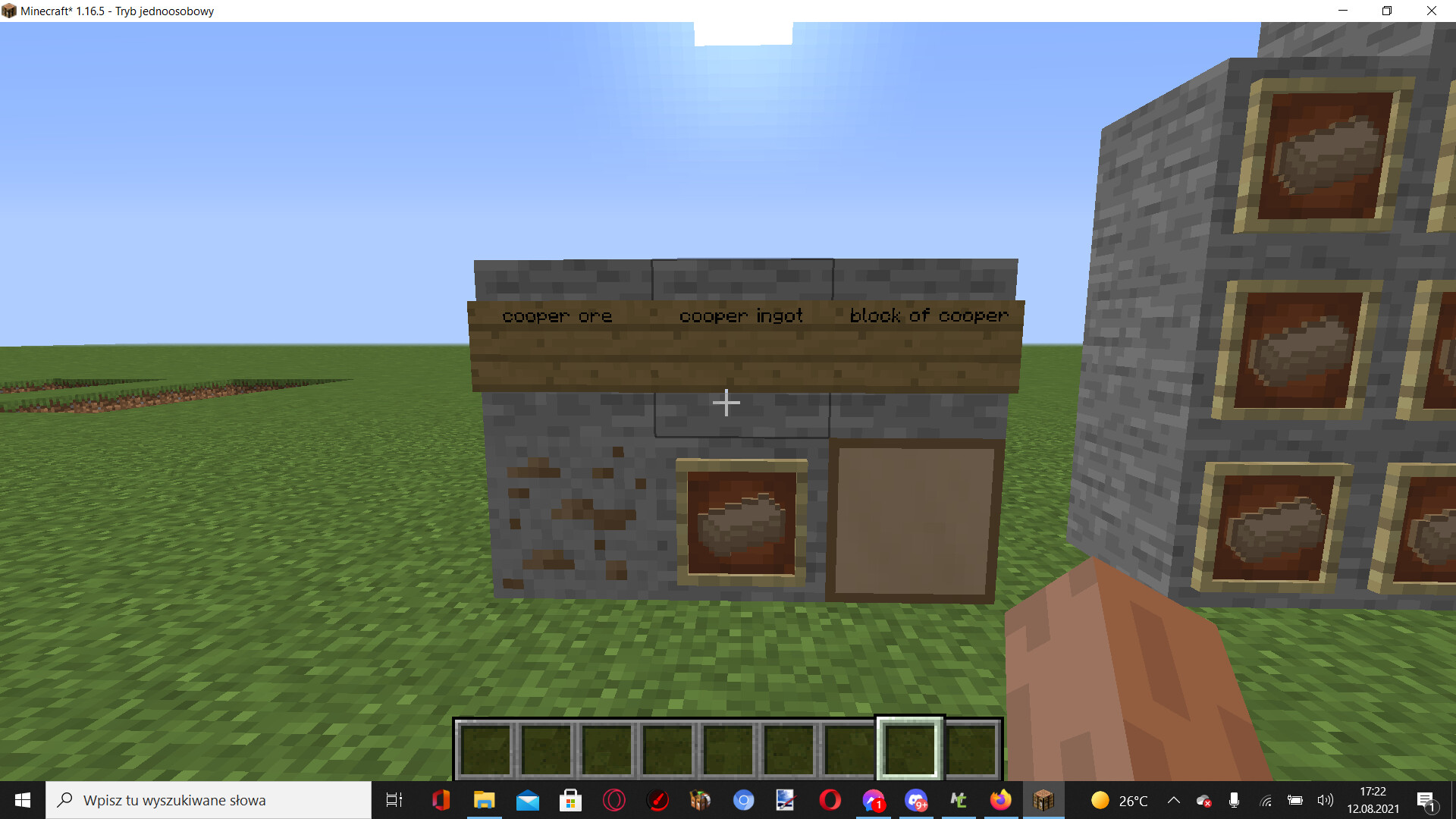 Mega Survival Mod (MSM) "BETA" Minecraft Mod