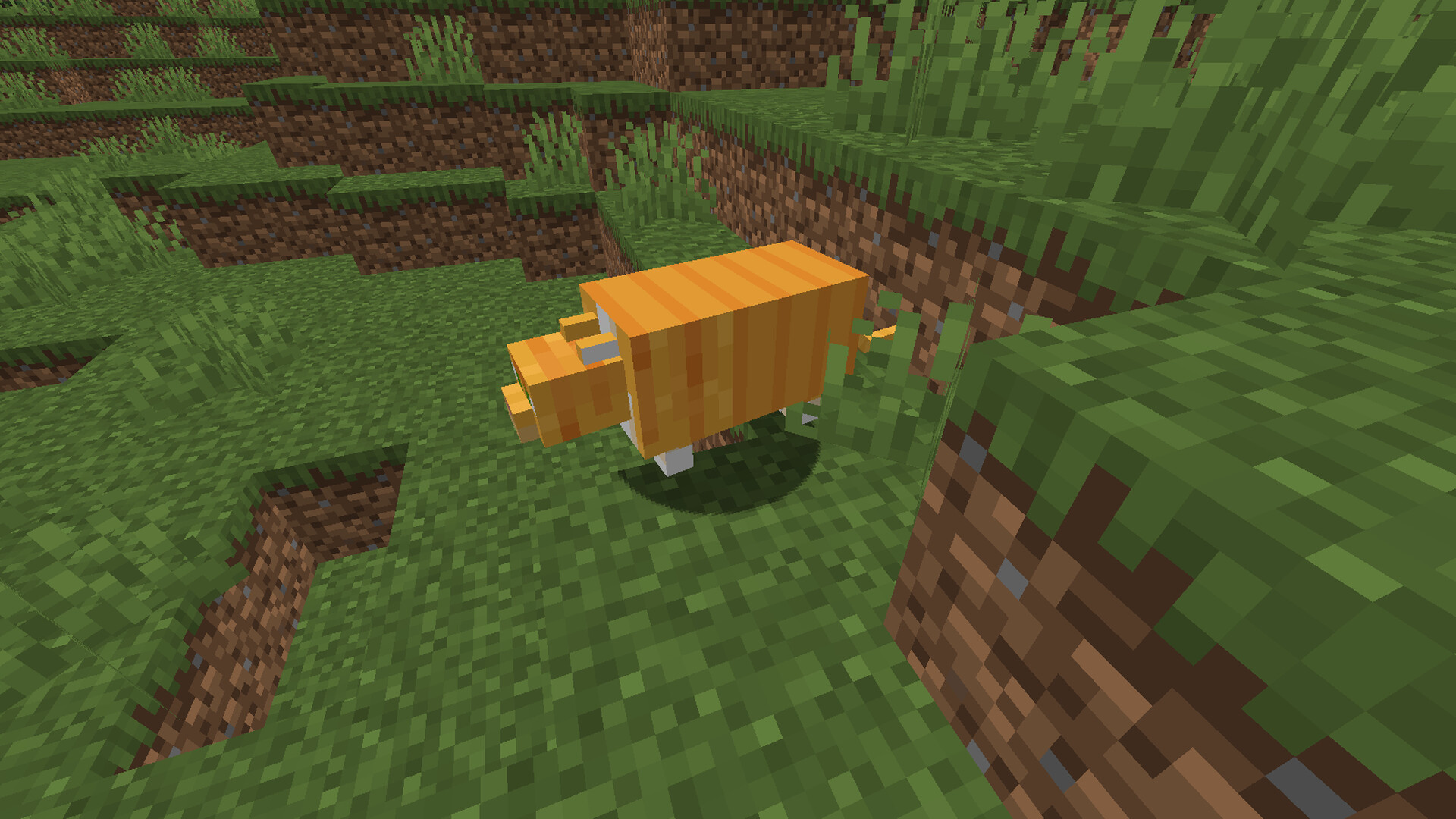 Chonk Mod Minecraft Mod