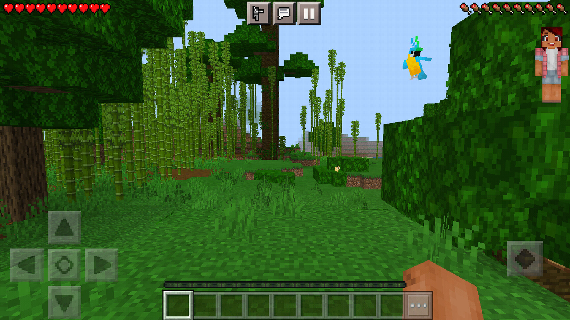 Player Render Hud Minecraft Mod