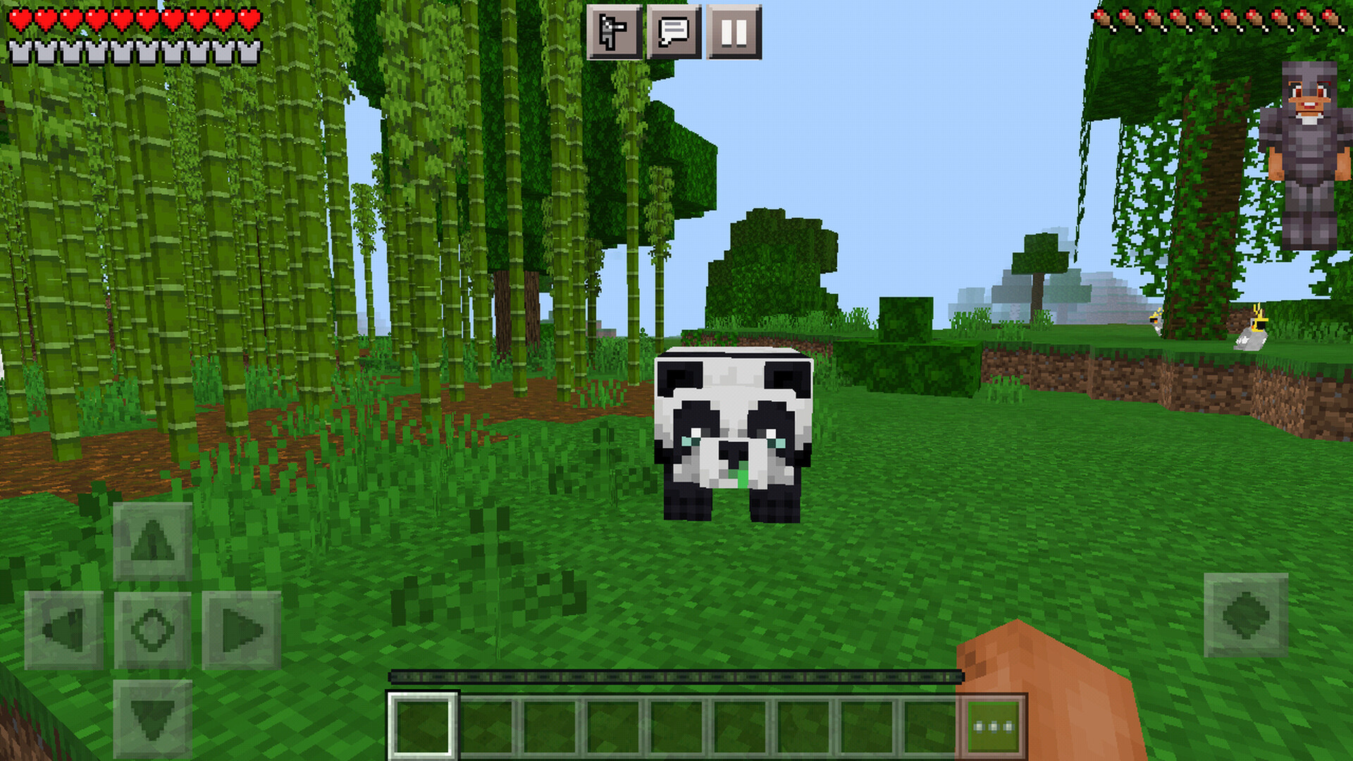Player Render Hud Minecraft Mod