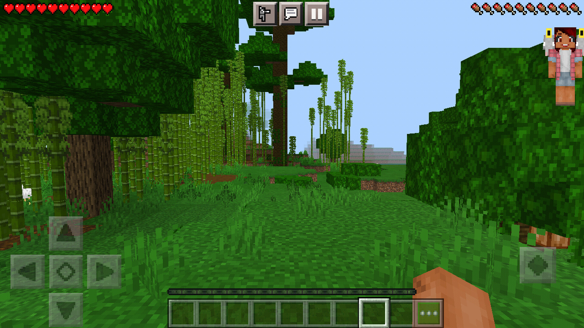 Player Render Hud Minecraft Mod
