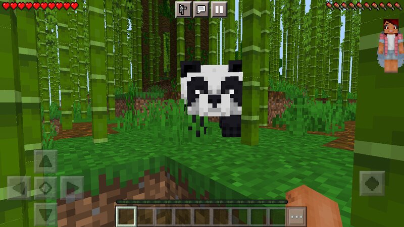 Player Render Hud Minecraft Mod