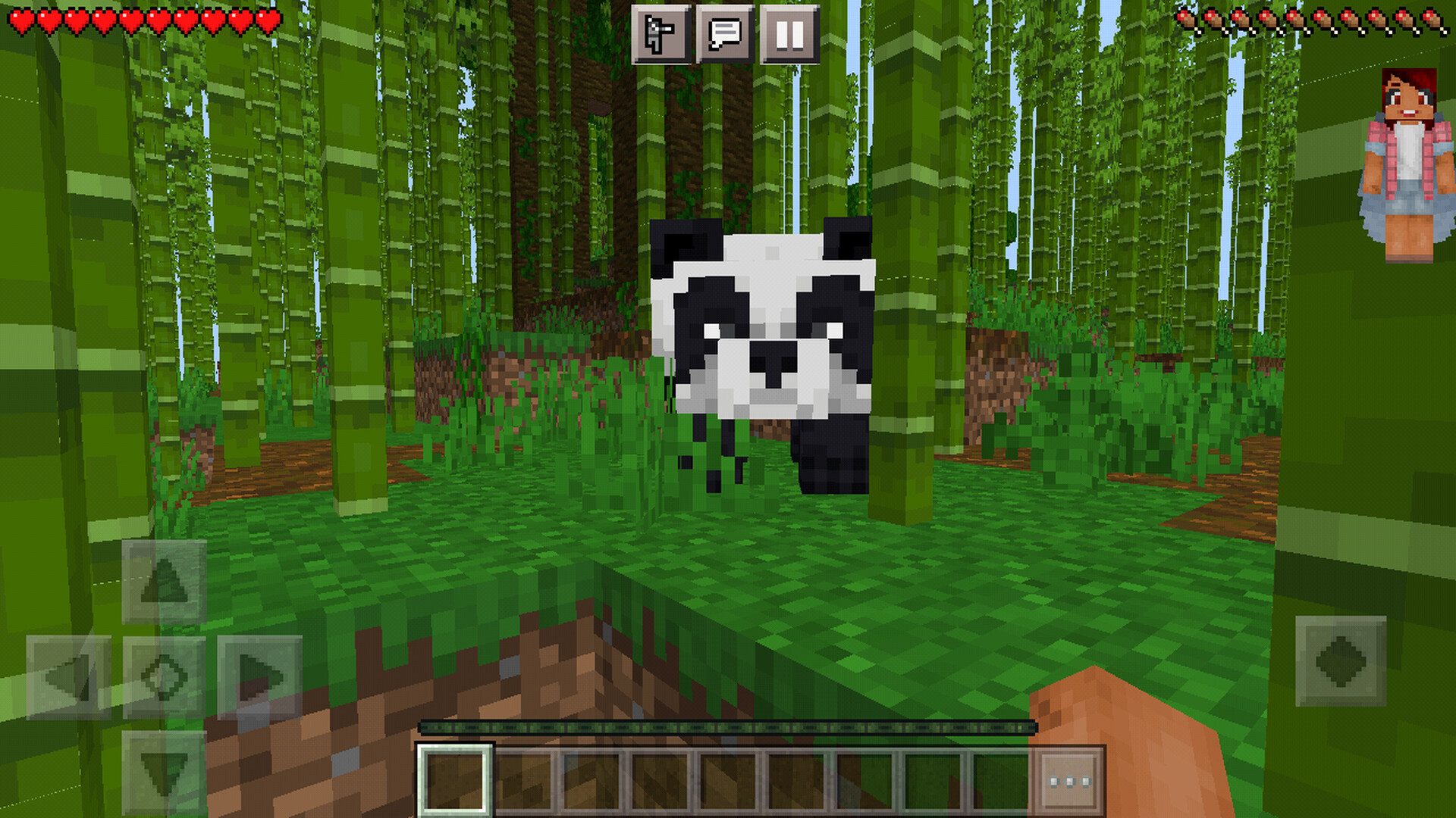 Player Render Hud Minecraft Mod