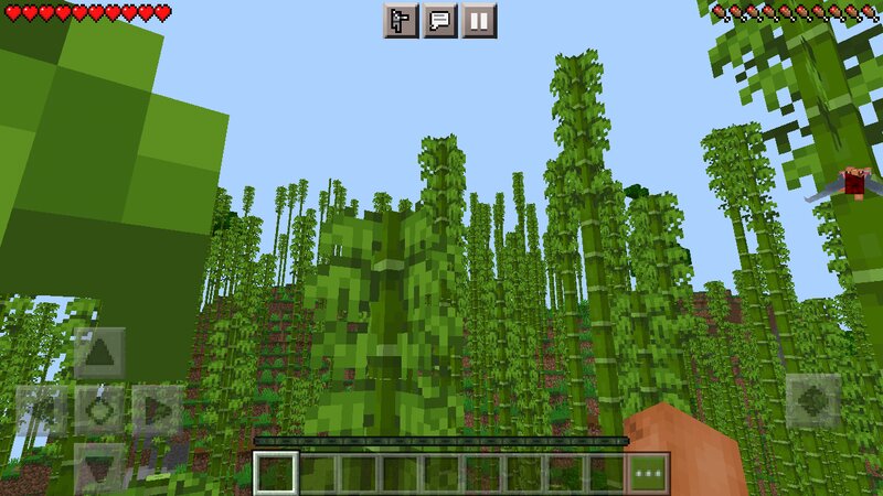 Player Render Hud Minecraft Mod